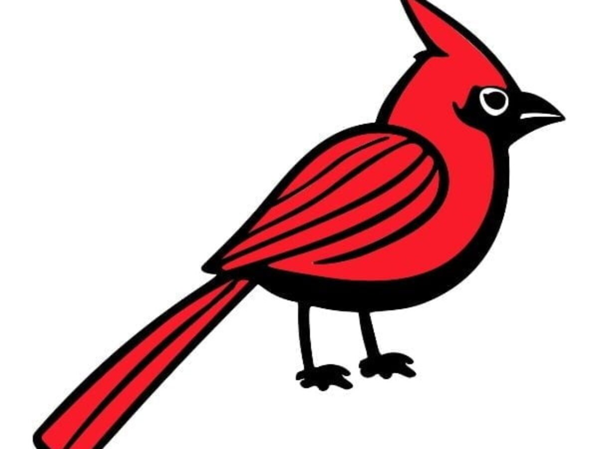 Red Bird Clipart How To Draw A Cardinal Bird Easy Drawing Art